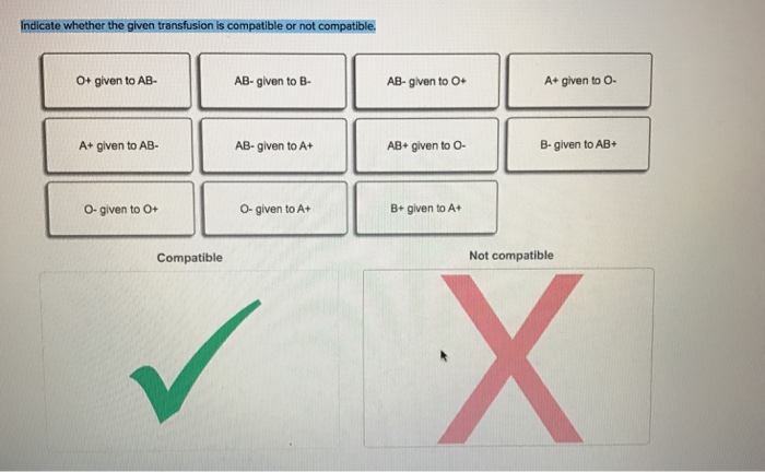 Solved: Indicate Whether The Given Transfusion Is Compatib... | Chegg.com Solved: Indicate Whether The Given Transfusion Is Compatib... | Chegg.com