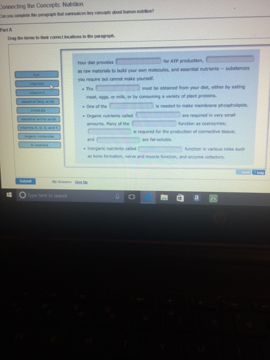 Solved: Can You Complete This Paragraph That Summarized Ke... | Chegg.com Solved: Can You Complete This Paragraph That Summarized Ke... | Chegg.com