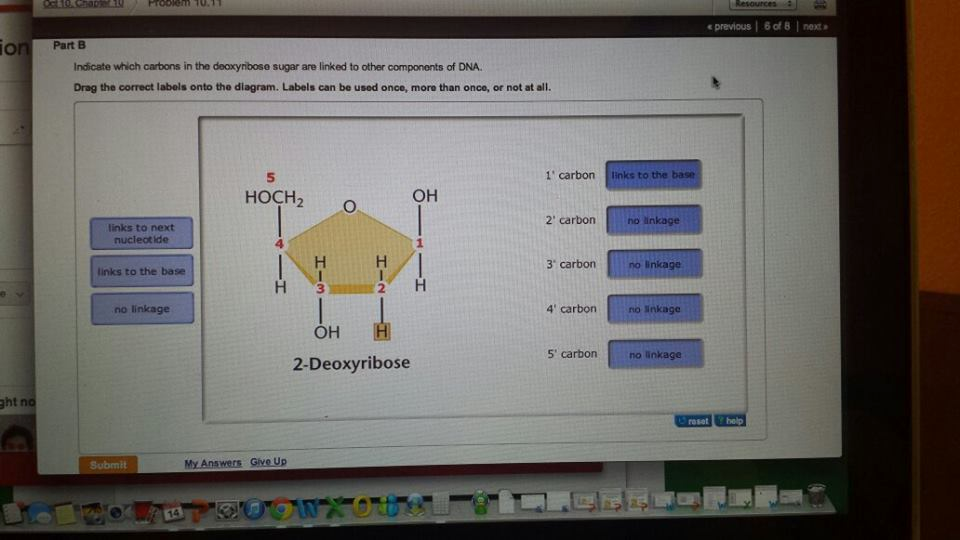 Drag The Correct Labels Onto The Diagram. Labels ... | Chegg.com Drag The Correct Labels Onto The Diagram. Labels ... | Chegg.com
