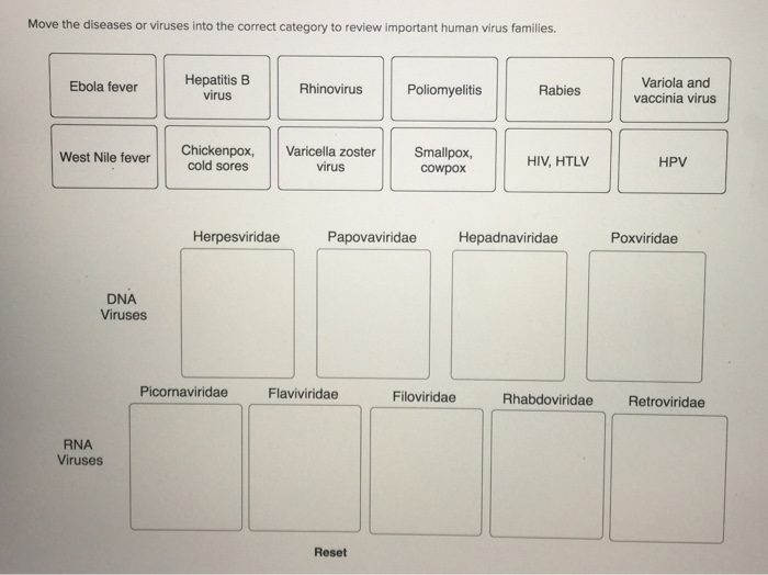Biology Archive | February 17, 2017 | Chegg.com