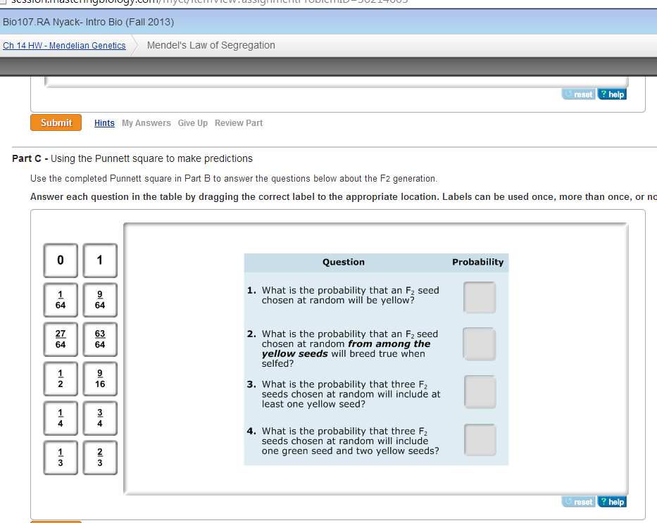 Part C - Using The Punnett Square To Make Predictions ... | Chegg.com Part C - Using The Punnett Square To Make Predictions ... | Chegg.com