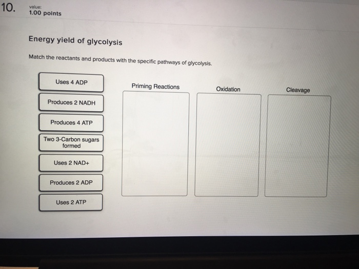 Solved: Match The Reactants And Products With The Specific... | Chegg.com Solved: Match The Reactants And Products With The Specific... | Chegg.com