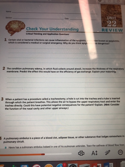 Solved Name Section UNIT Date Check Your Understanding | Chegg.com