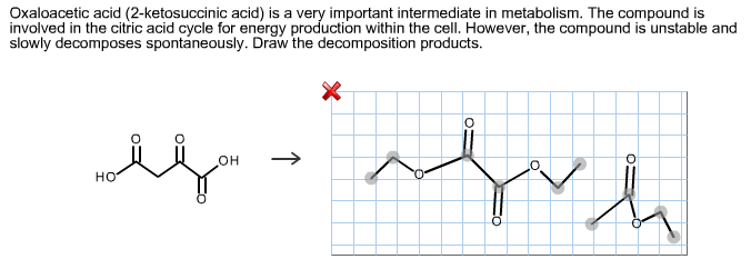 Oxaloacetic Acids