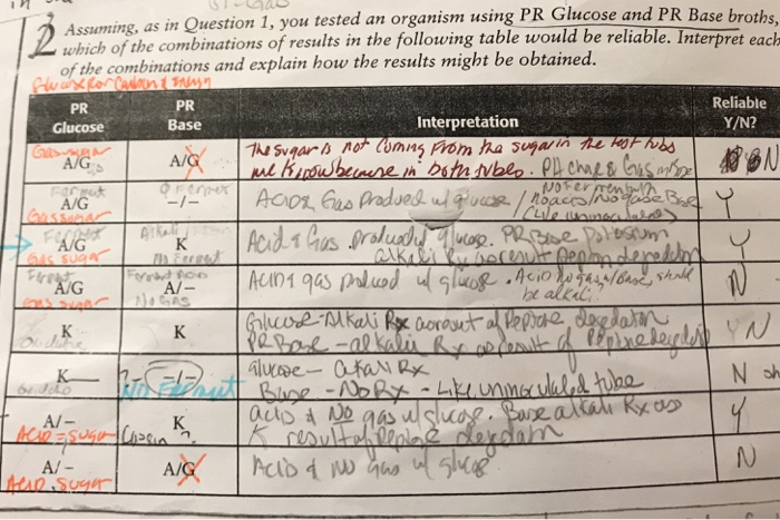 So For A Phenol Red Base Broth Test For Microbiolo