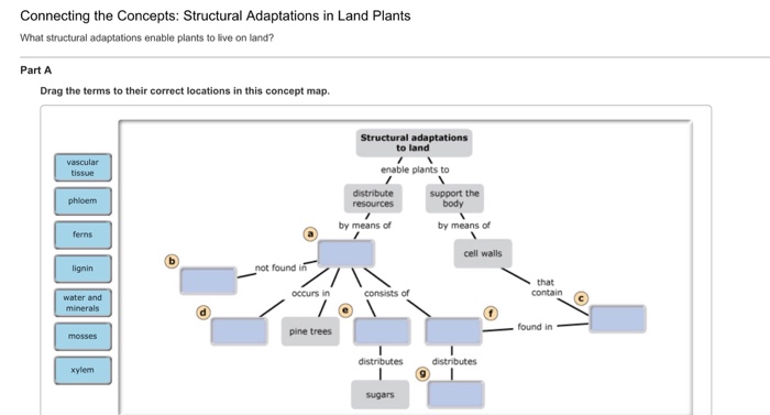 Solved: Connecting The Concepts: Structural Adaptations In... | Chegg.com Solved: Connecting The Concepts: Structural Adaptations In... | Chegg.com