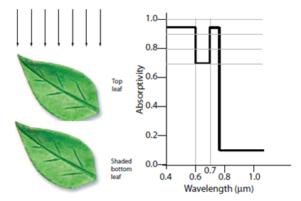 Figure 8.39a shows two leaves, one completely shaded | Chegg.com