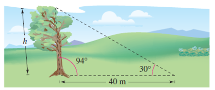 Solved: Height A tree grows at an angle of 4° from the vertical du ...