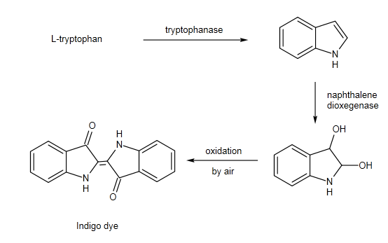 Indigo Dye Structure