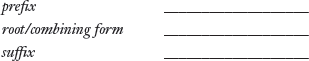 prefix root/combining form suffix | Chegg.com