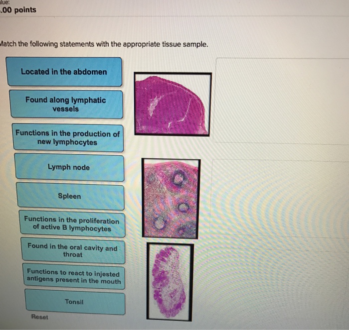 Watch The Following Statements With The Appropriat... | Chegg.com