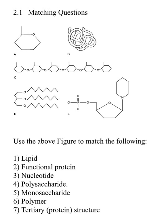 Solved: Matching Questions Use The Above Figure To Match T... | Chegg.com