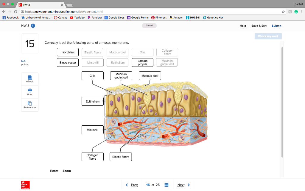 Solved: HW 3 Rachel C Https://newconnect.mheducation.com/f... | Chegg.com