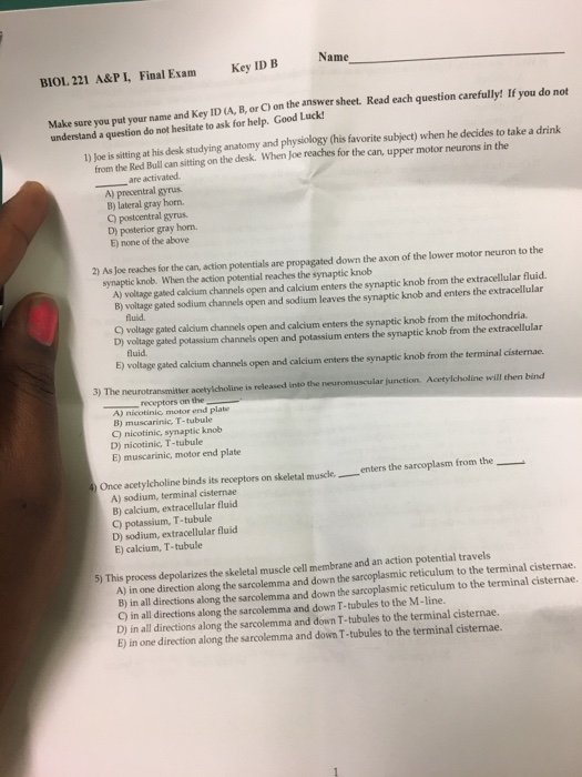 Anatomy And Physiology 1 Final Exam