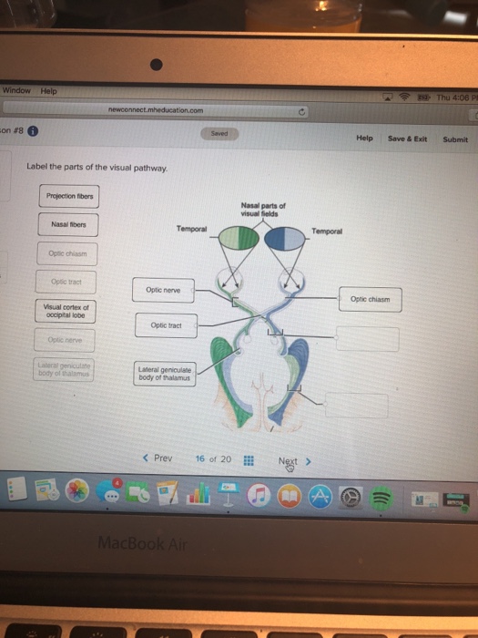 Solved: Window Help On #80 Help Save & Exit Submit Label T... | Chegg.com