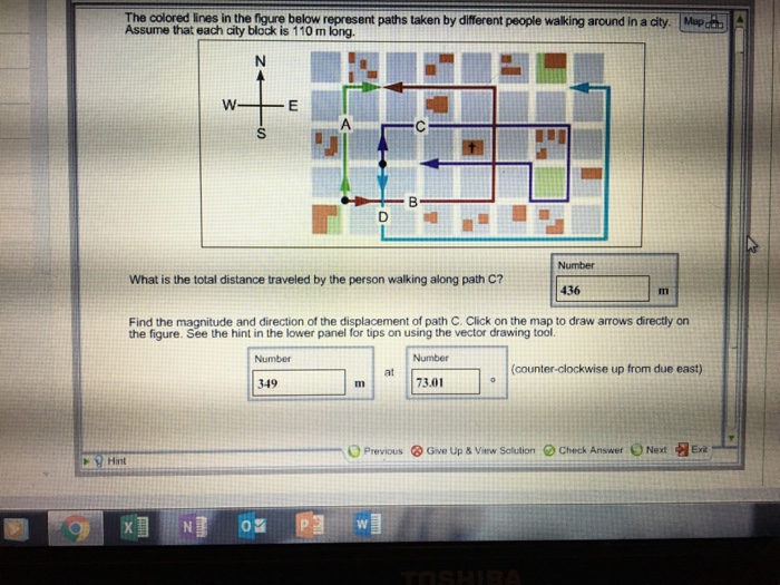 Solved: The Colored Lines In The Figure Below Represent Pa... | Chegg.com
