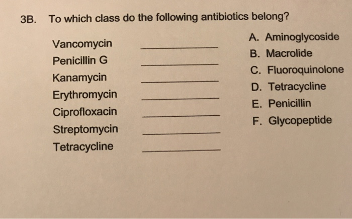 Solved To which class do the following antibiotics belong? | Chegg.com