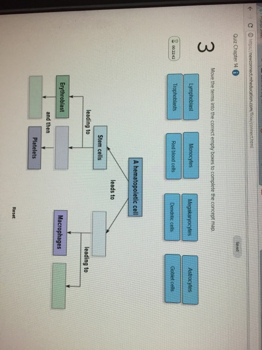 Solved: C ⓘhttps:/ Quiz Chapter 14 Move The Terms Into The... | Chegg.com