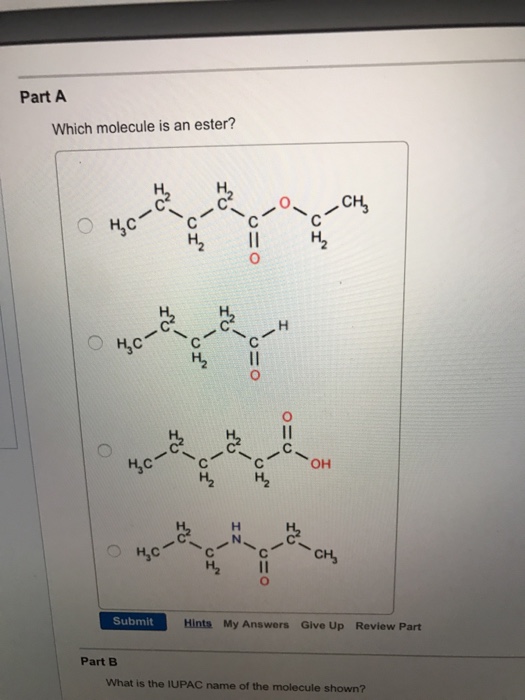 Solved Which molecule is an ester? What is the IUPAC name | Chegg.com