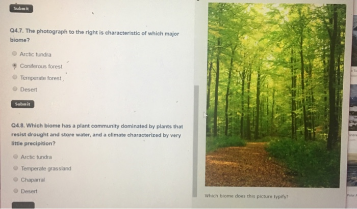 Solved: Submit Q4.7. The Photograph To The Right Is Charac... | Chegg.com