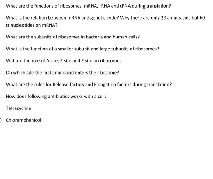Solved What are the functions of ribosomes, mRNA, rRNA and | Chegg.com
