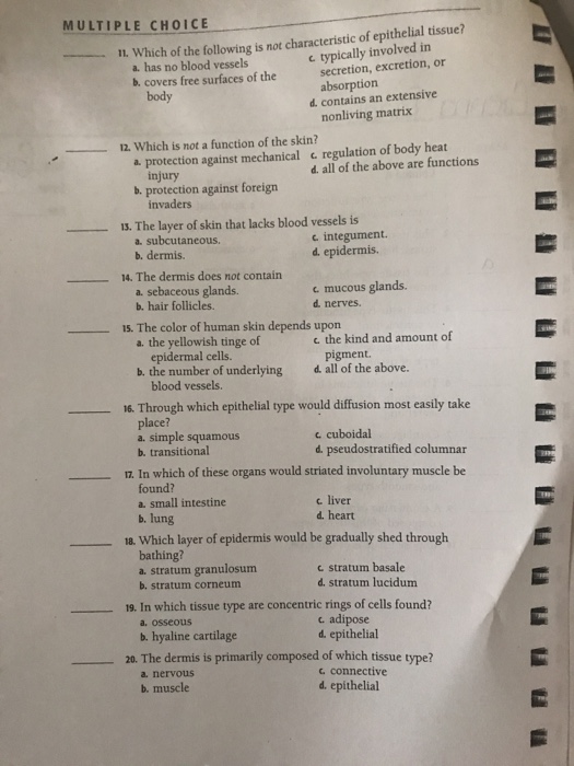 Solved Which of the following is not characteristic of | Chegg.com