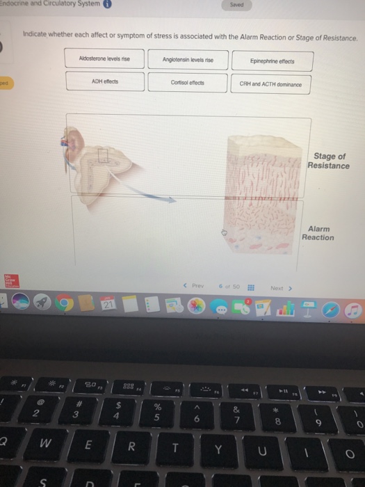 Solved: Endocrine And Circulatory System Indicate Whether ... | Chegg.com Solved: Endocrine And Circulatory System Indicate Whether ... | Chegg.com