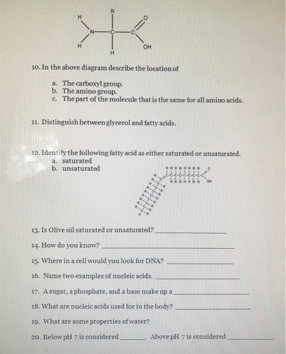 Solved Biomolecules Worksheet Consult The Textbook PPT Chegg