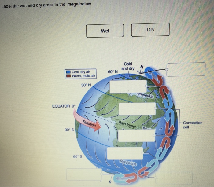 Biology Archive | April 25, 2017 | Chegg.com