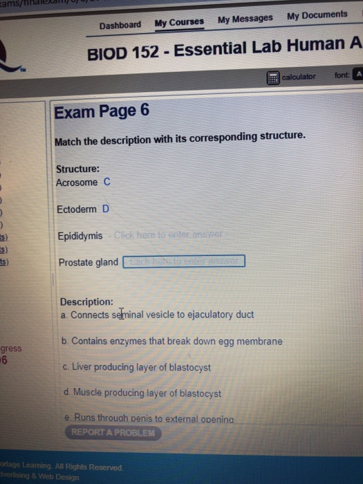 Solved: Dashboard My Courses My Messages My Documents BIOD... | Chegg.com