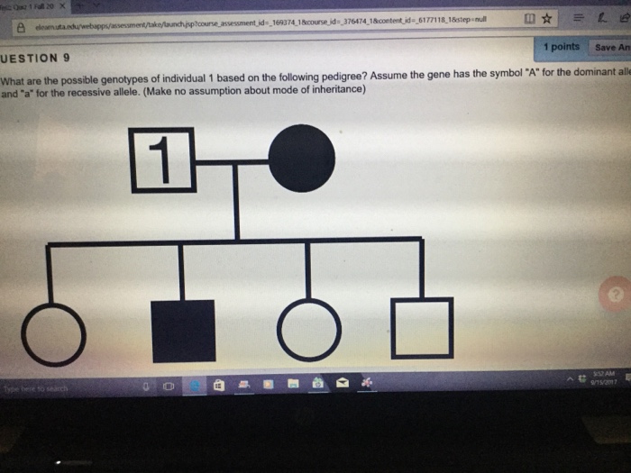 Solved: What Are The Possible Genotypes Of Individual 1 Ba... | Chegg.com Solved: What Are The Possible Genotypes Of Individual 1 Ba... | Chegg.com