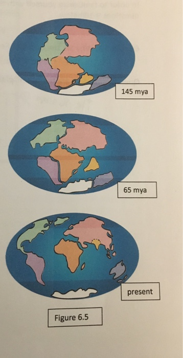 Solved: Question 8. The Family Migidae Is A Group Of Habit... | Chegg.com