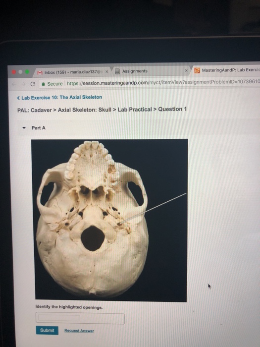 Solved: M Inbox (159) - Maria.diaz137@x Assignments Master... | Chegg.com