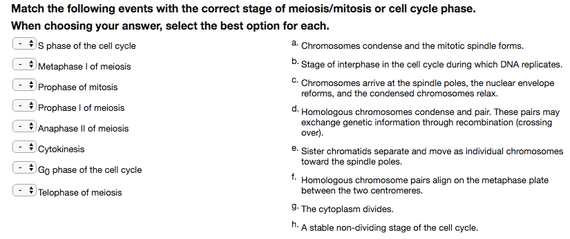Solved Match the following events with the correct stage of | Chegg.com
