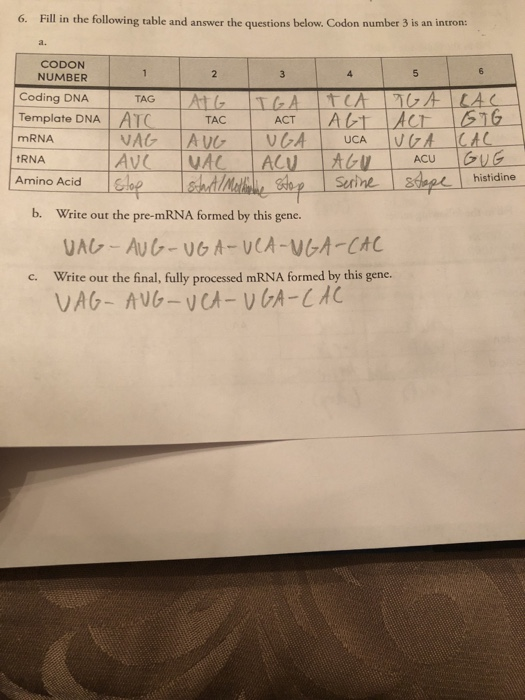 Solved 6. Fill in the following table and answer the | Chegg.com