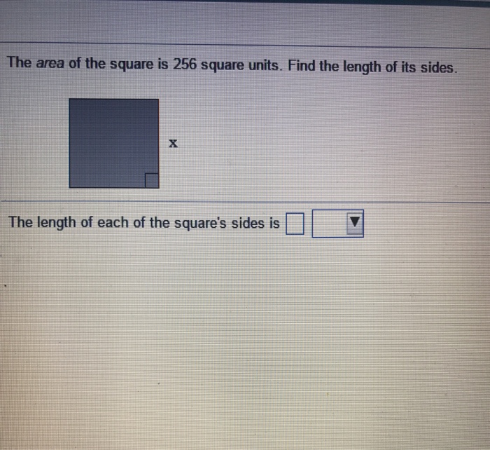 Solved: The Area Of The Square Is 256 Square Units. Find T... | Chegg.com