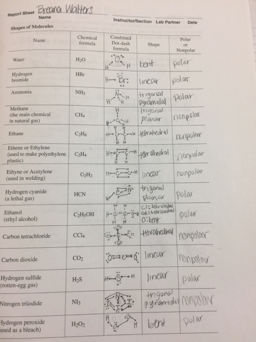 Solved Report Sheet Instructor/Section Lab Partner Date | Chegg.com