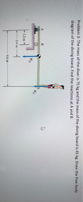 Solved: Problem 3: The Mass Of The Diver Is 75 Kg And The ... | Chegg.com