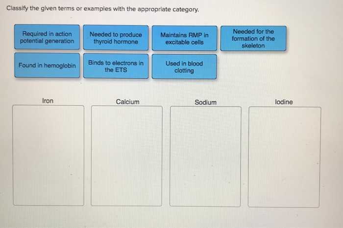Solved Classify the given terms or examples with the | Chegg.com