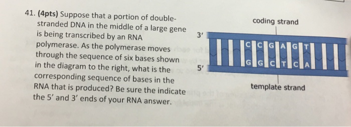 Biology Archive | February 10, 2017 | Chegg.com