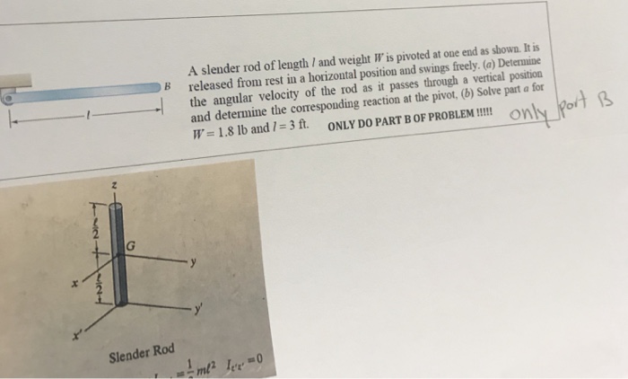 Solved A slender rod of length / and weight W is pivoted at | Chegg.com