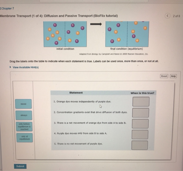 Solved: Chapter 7 Membrane Transport (1 Of 4): Diffusion A... | Chegg.com