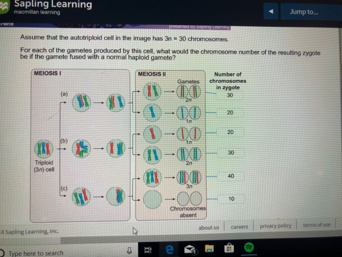 Solved: Macmillan Learning Jump To... Herce Assume That Th... | Chegg.com