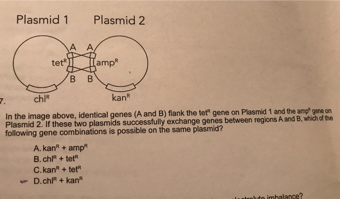 Solved Plasmid 1 Plasmid 2 tet amp kan chlR 7. In the image | Chegg.com