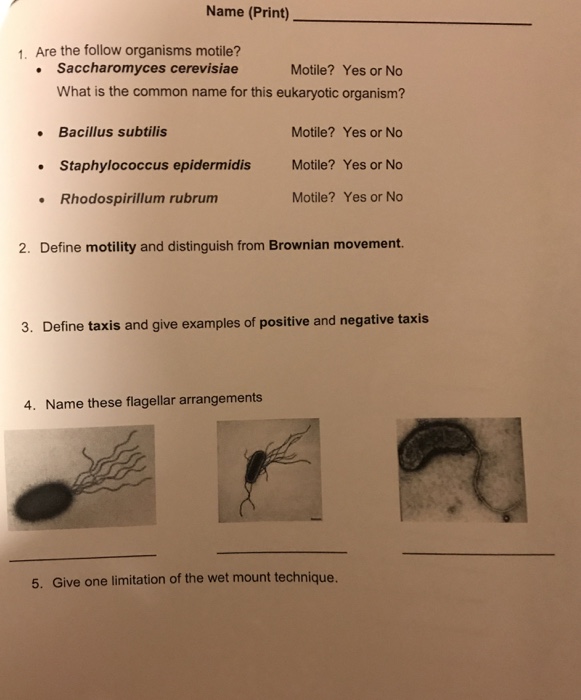 Solved Name (Print) 1. Are the follow organisms motile? | Chegg.com