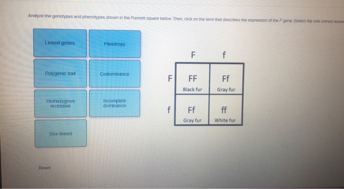 Biology Archive | April 09, 2017 | Chegg.com