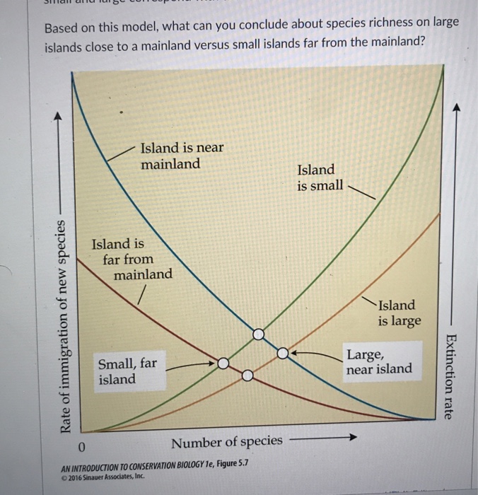 Solved: Based On This Model, What Can You Conclude About S... | Chegg.com