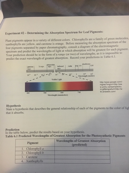 Solved: Experiment #2-Determining The Absorption Spectrum ... | Chegg.com