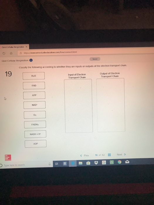Solved: Classify The Following According To Whether They A... | Chegg.com