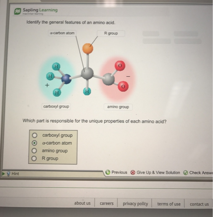 Solved: Sapling Learning Identify The General Features Of ... | Chegg.com